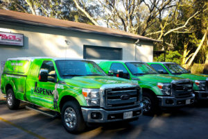 Vinyl Wraps - Redline Design